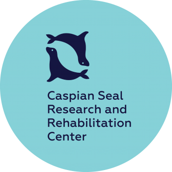 Caspian Seal - Caspian Seals Research and Rehabilitation Center